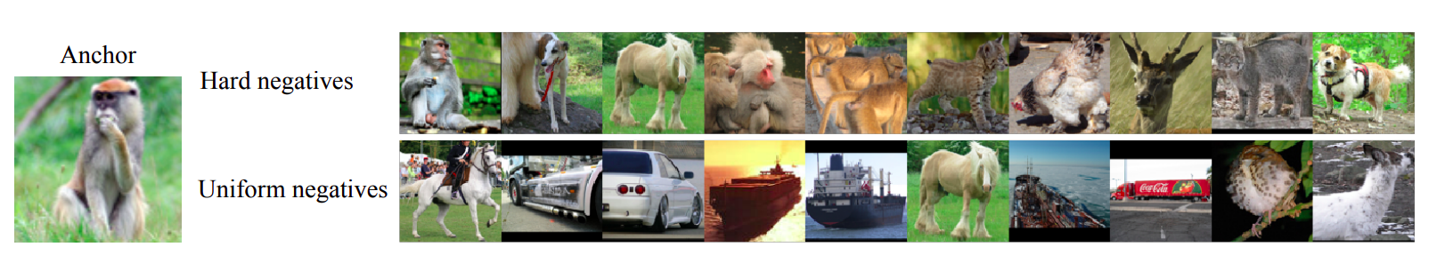 Contrastive Learning with Hard Negative Samples | MSAIL